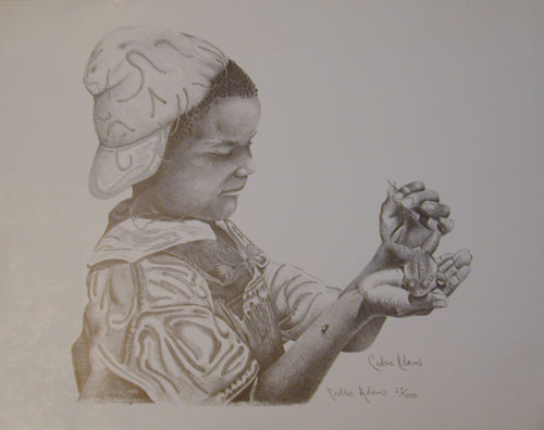 Conservation and Liquidation Office